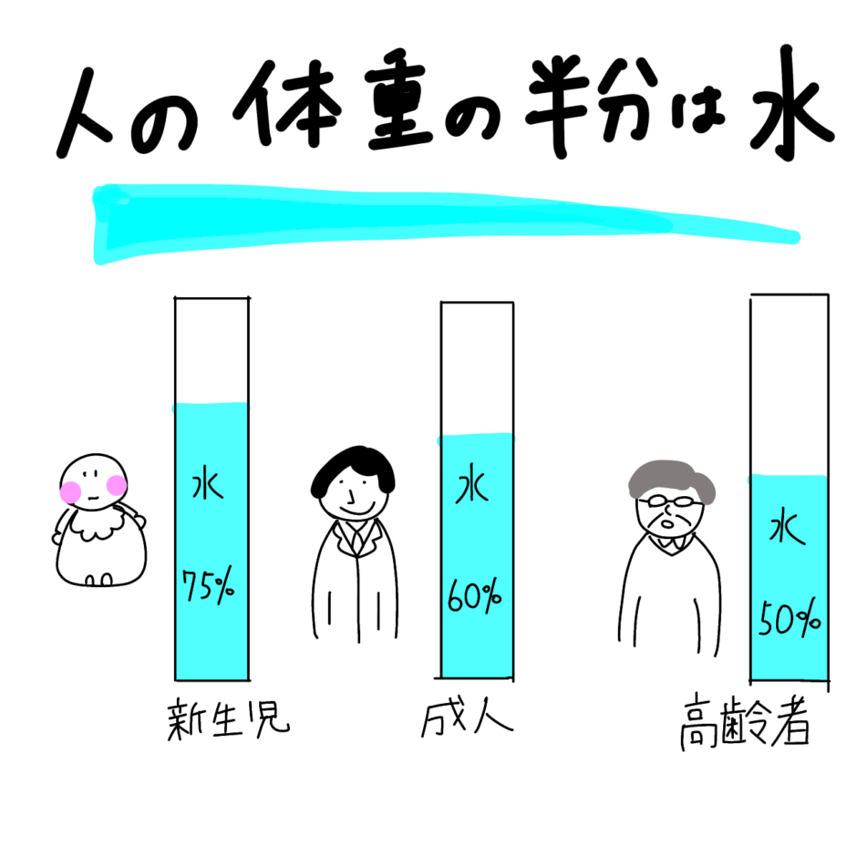 【輸液の基本】人間の体のなか、半分は水 | まめつぶな毎日